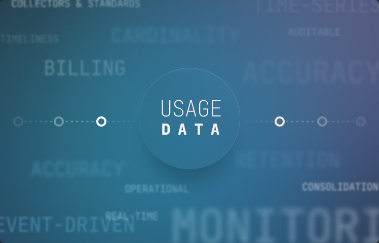 Usage Data: Auditable or Operational | OpenMeter Usage Data: Auditable or Operational | OpenMeter